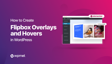 How To Create Flipbox Overlays And Hovers In WordPress - Wpmet
